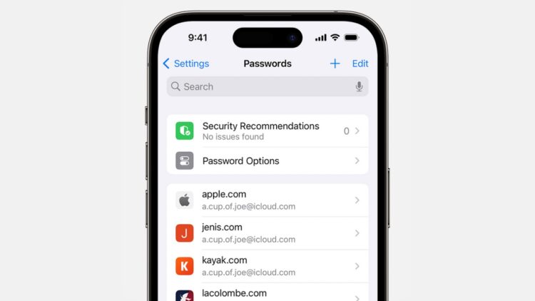 Apple's New iOS 18 Passwords App: How It’s Changing iPhone Security ...